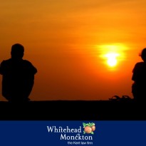 Dawn Harrison | Whitehead Monckton