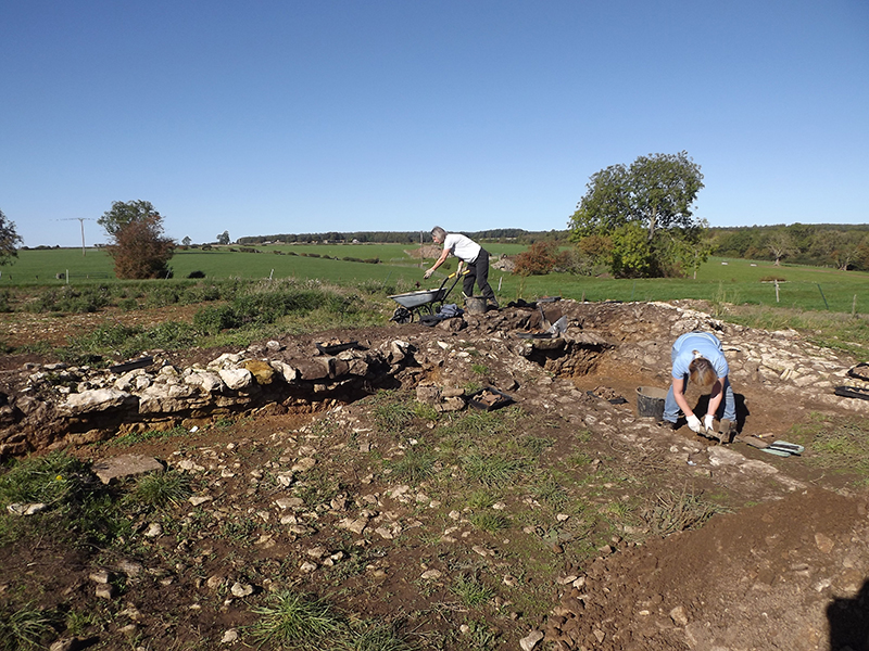 Conservation and heritage articles